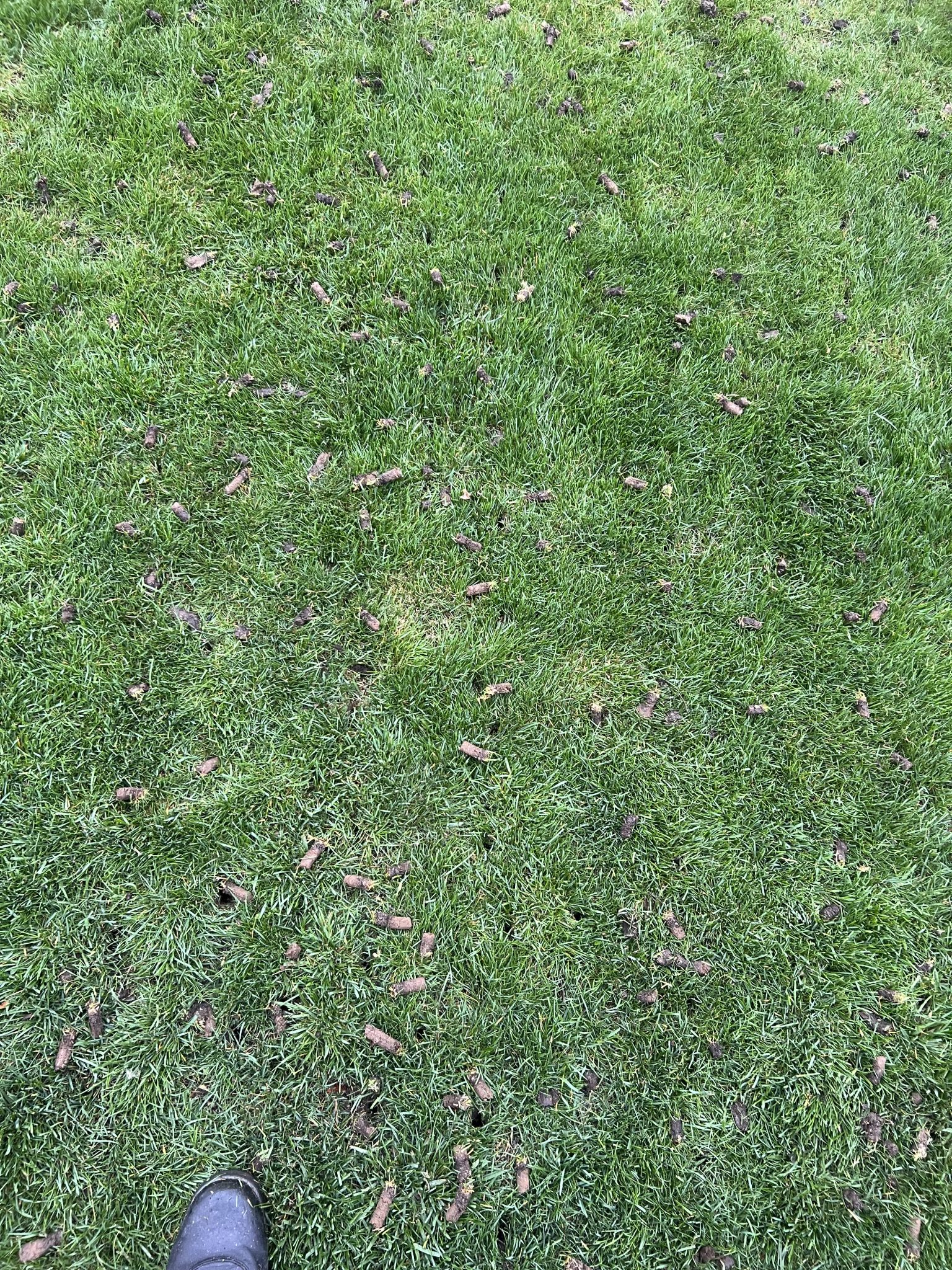 Rolling Lawn Aerator | Lawn Aerator Machine | Amick Rollaerator