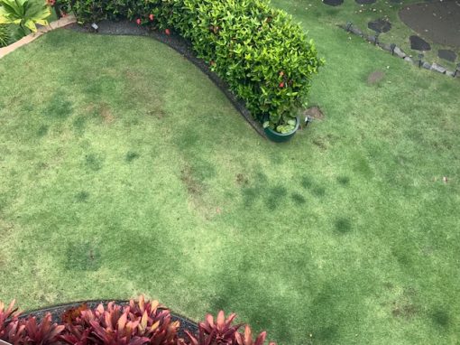 Rolling Lawn Aerator | Lawn Aerator Machine | Amick Rollaerator