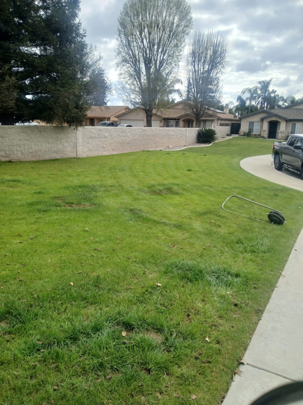 Lawn Aerator | Rolling Lawn Aerator | Amick Rollaerator